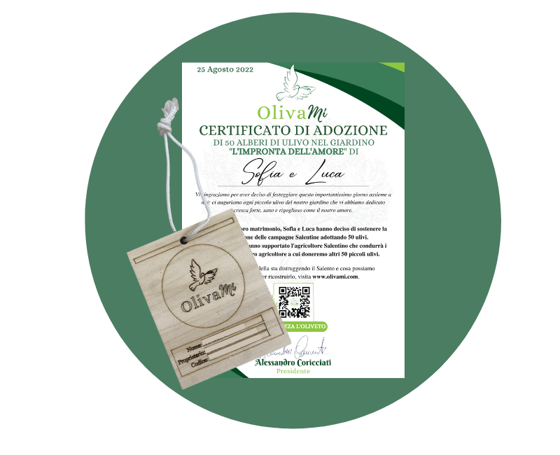 Bomboniere Solidali OlivaMi: Regala l'Olio e dedica un Ulivo